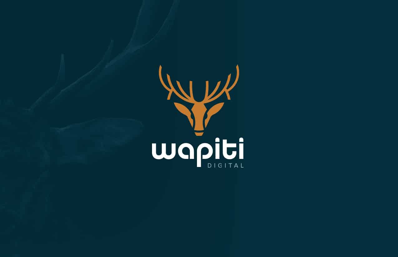 Wapiti • We Build Websites That Sell Products & Services